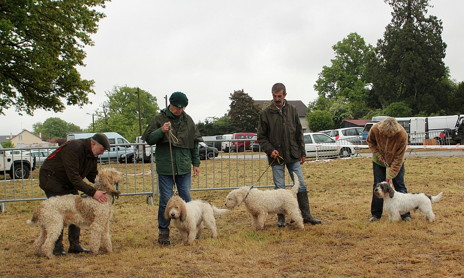 “We collect the largest possible history of the Griffon Vendéen” - ZooEasy